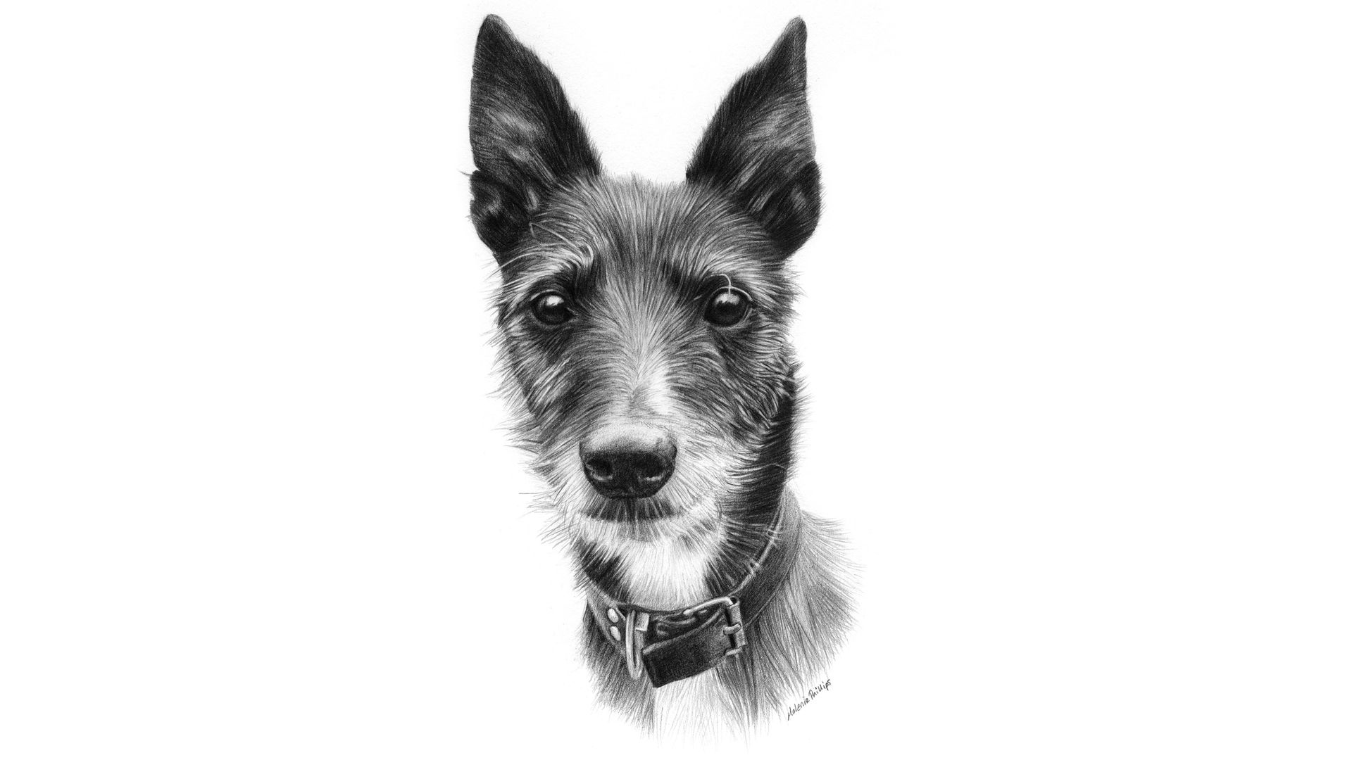 Draw a pencil portrait of a dog | Creative Bloq
