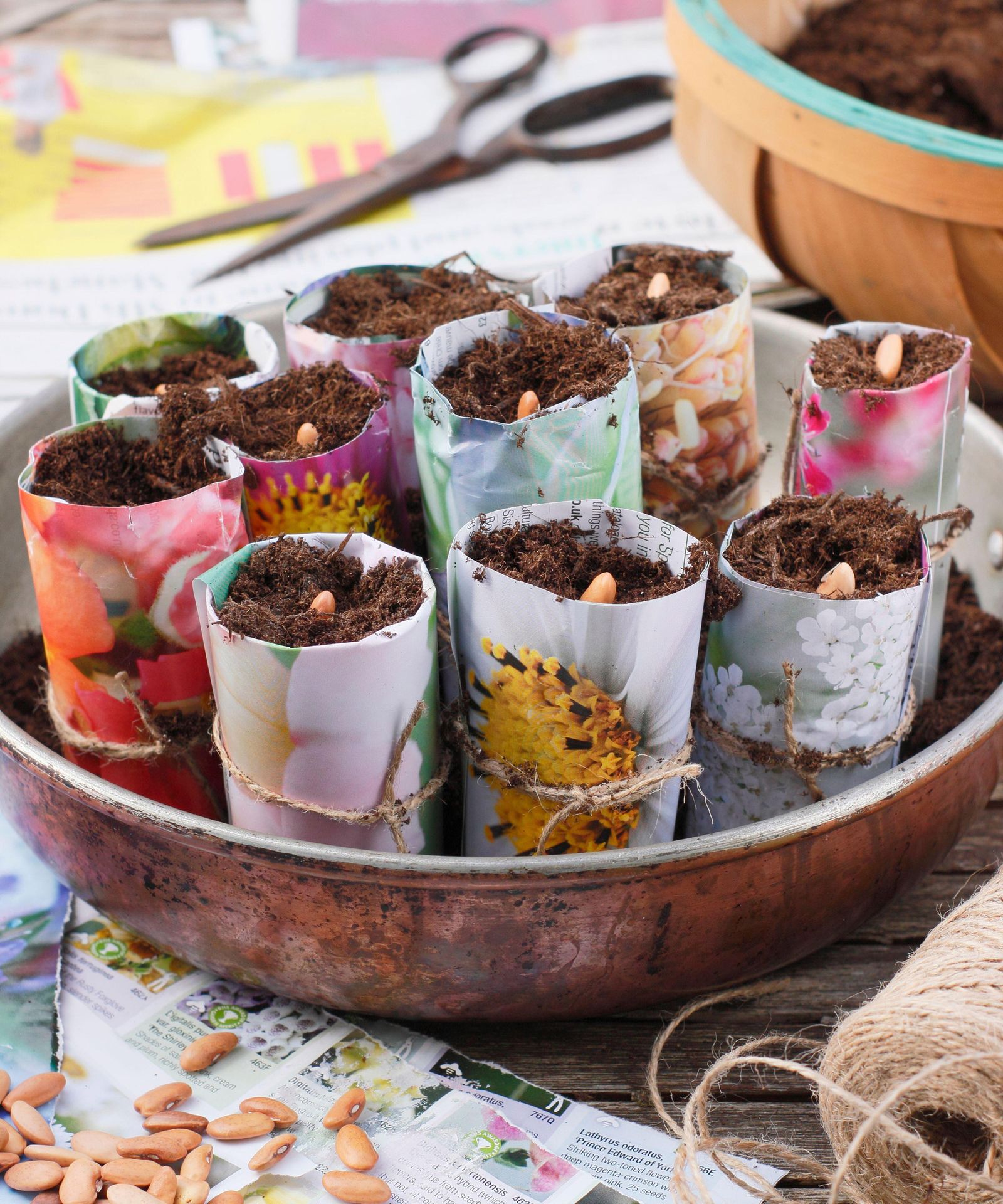 How to grow French beans: our complete growing guide | Gardeningetc