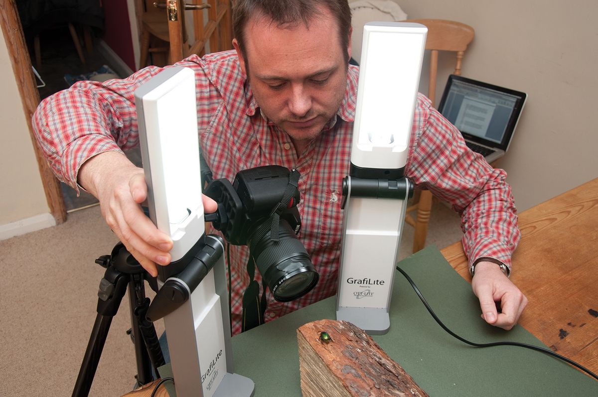 Focus stacking: how to get amazing depth of field in macro photography ...