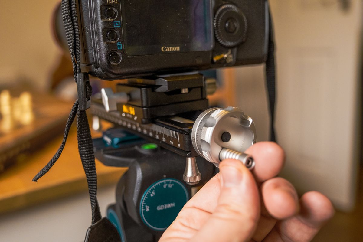 How to use a macro focusing rail for a focus-stacked close-up | Digital ...