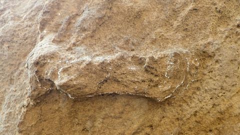 153,000-year-old footprints from South Africa are the oldest Homo ...
