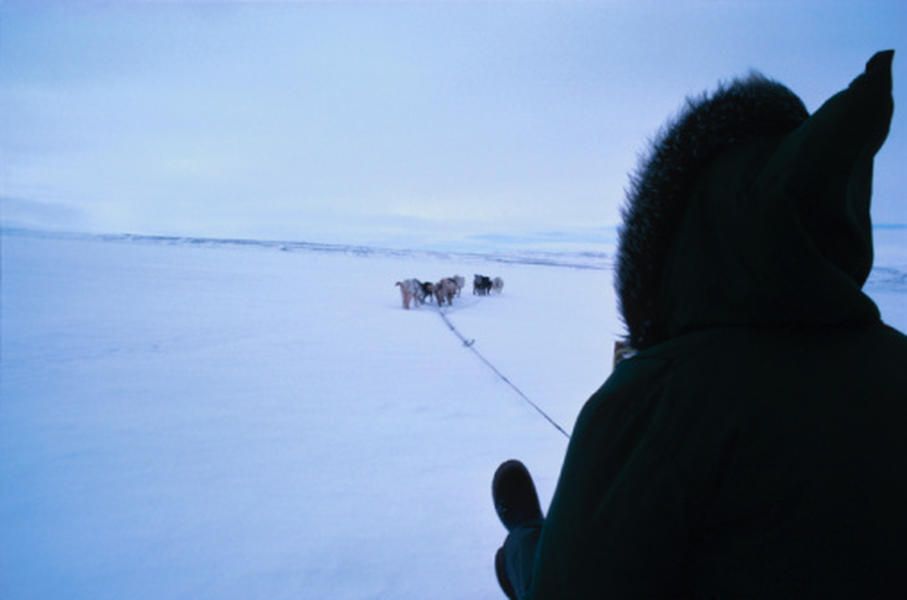 Vladimir Putin has no interest in invading Alaska because it's too cold ...