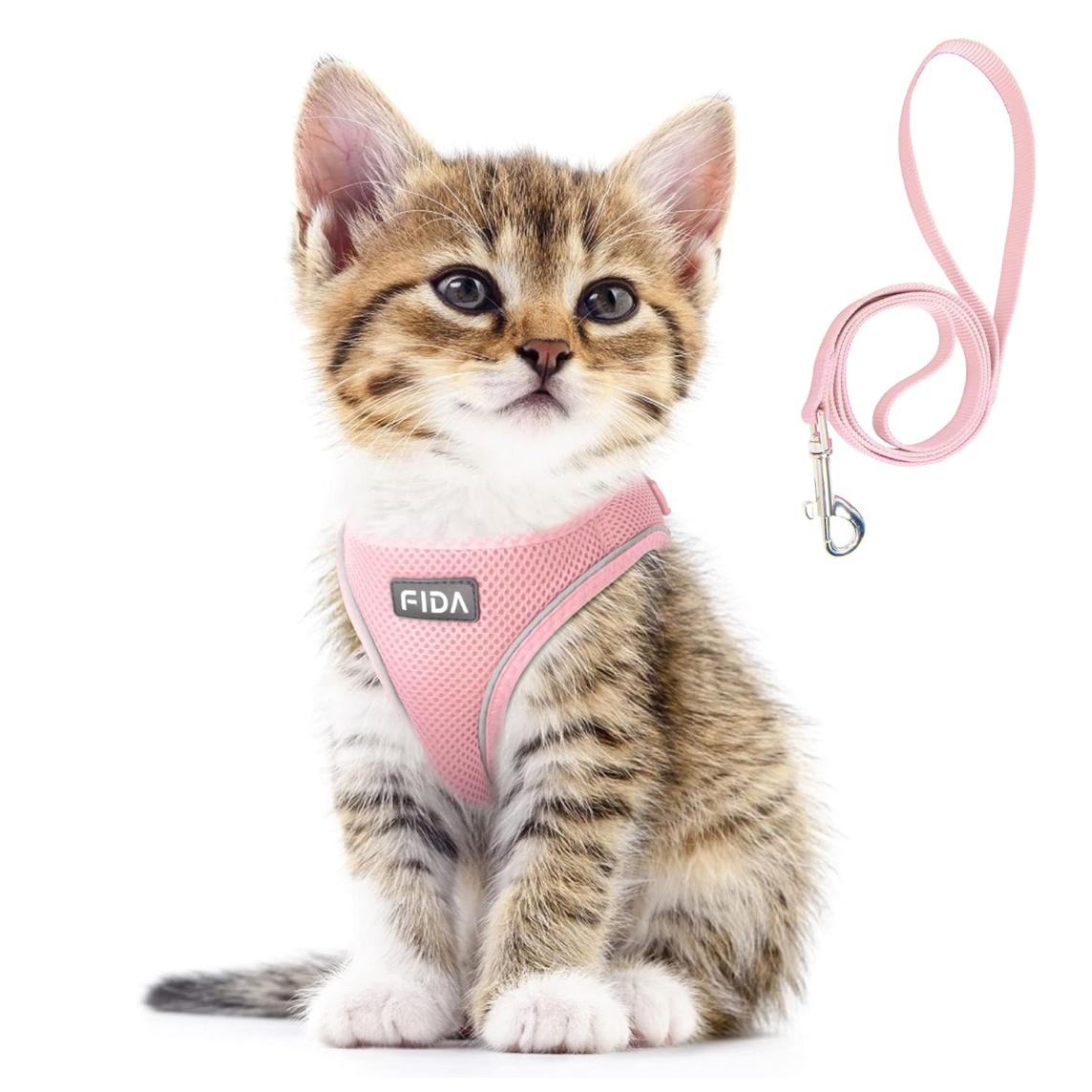 The best cat harnesses for your adventurous feline friend | PetsRadar