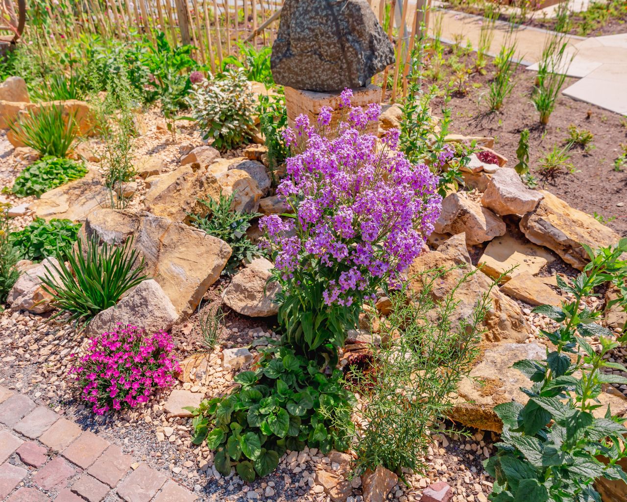 Low-Maintenance, Small Rock Garden Ideas | Gardening Know How
