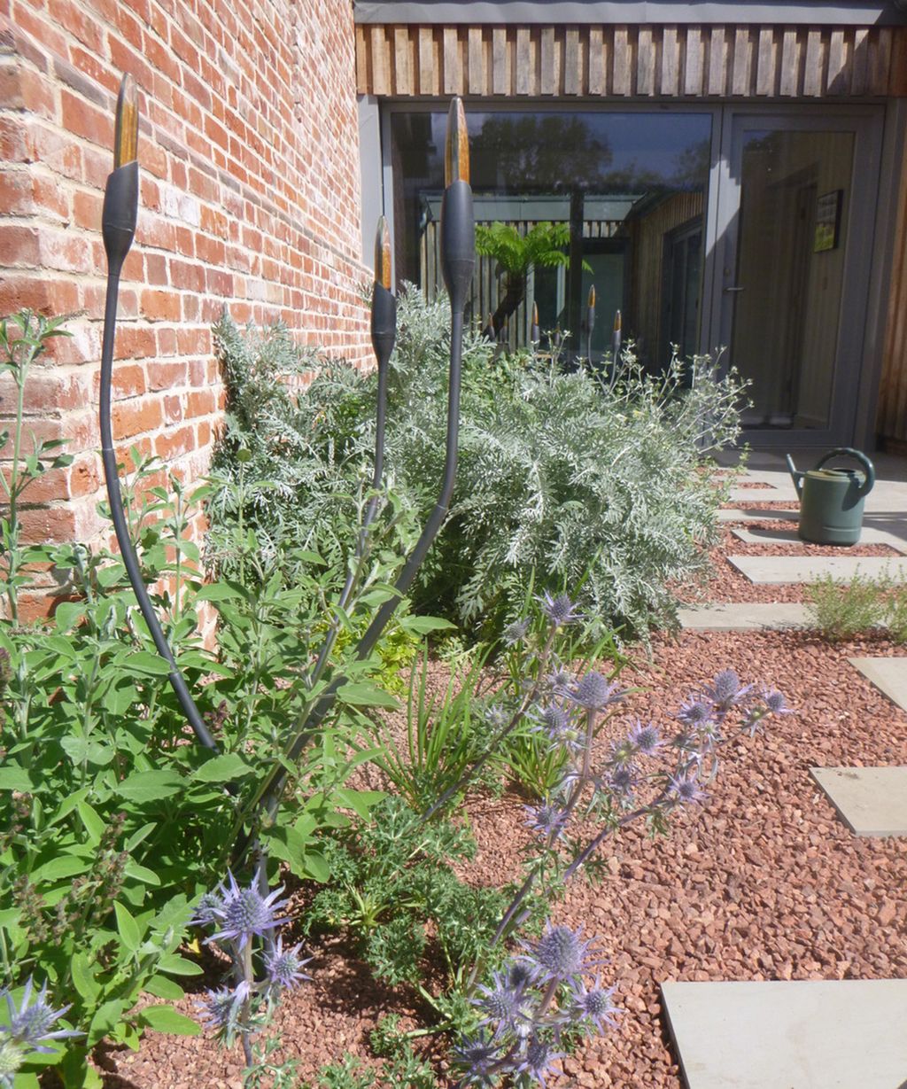 Dry gardens: how to design a drought-tolerant backyard | Gardeningetc