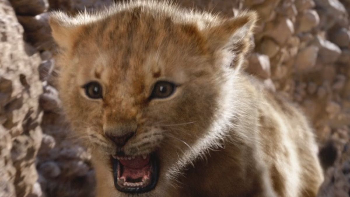 I Can't Be The Only One Who Thinks Disney's New Approach To Animal ...