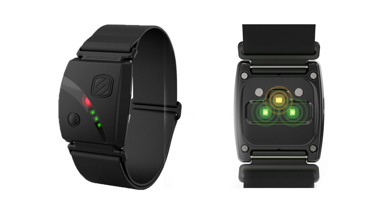 Wrist vs chest strap heart rate monitor: which is better for you ...