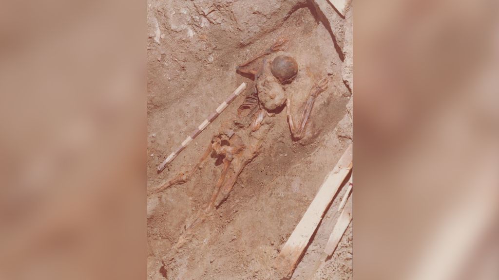 Roman-era skeleton found near Mount Vesuvius may be from famous rescue ...