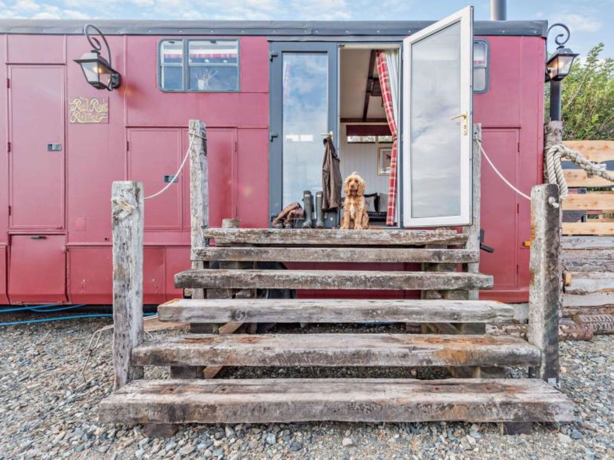 Couple convert an old horse lorry into a unique home | Homebuilding