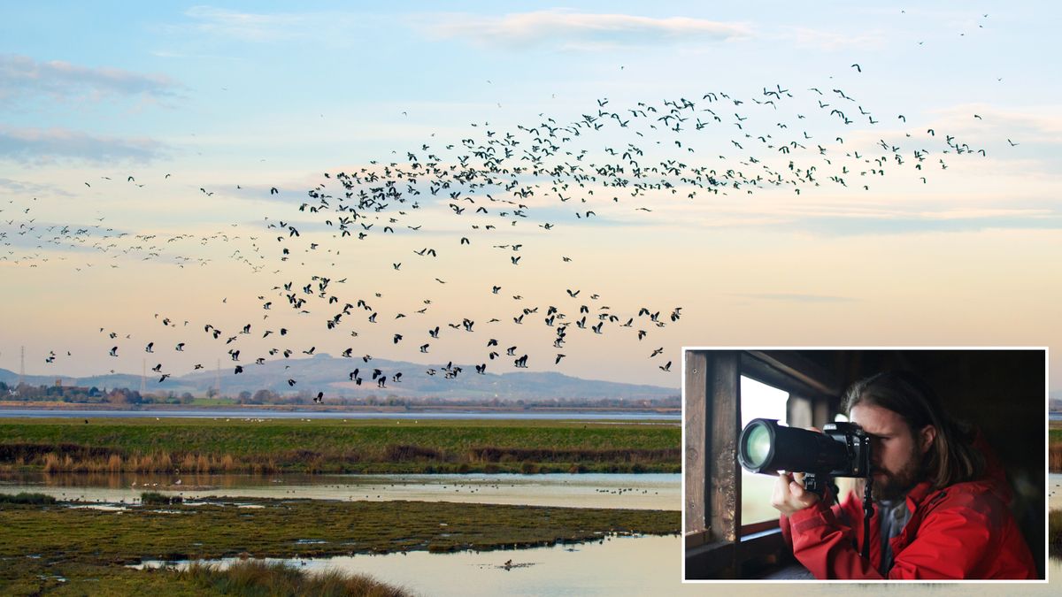 Photo ideas: Capture flocks of birds in flight | Digital Camera World
