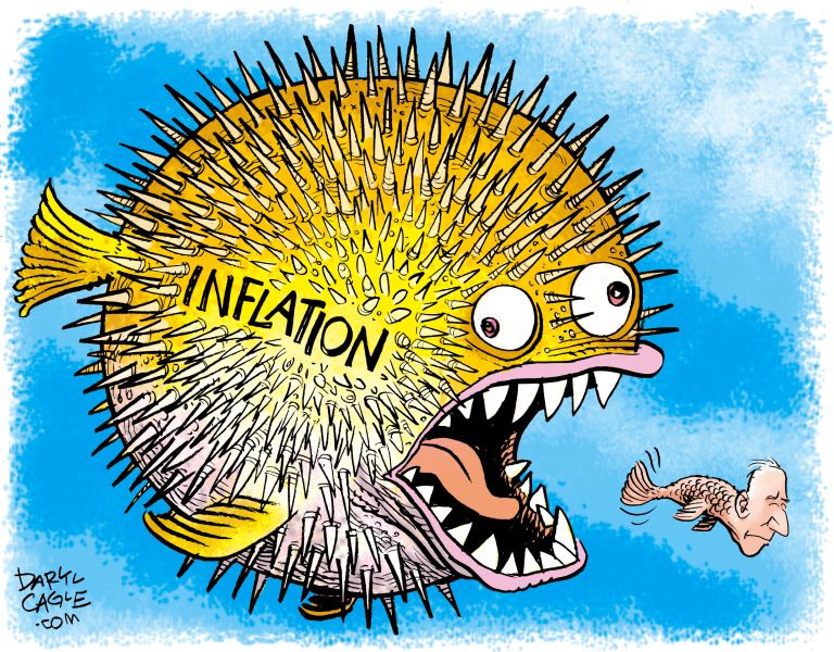 Joe'd better swim | The Week