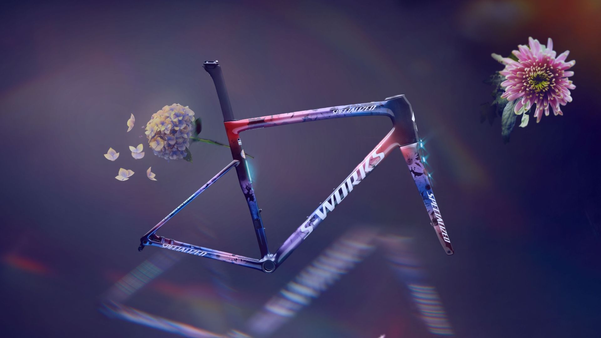 Demi Vollering’s dream, depicted in carbon: Specialized unveils limited ...