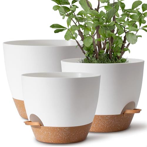 ALDI's $4.99 self-watering planter is back in stock for 2025 | Homes ...