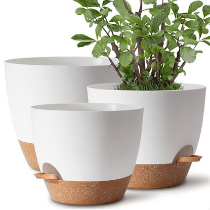 ALDI's $4.99 self-watering planter is back in stock for 2025 | Homes ...