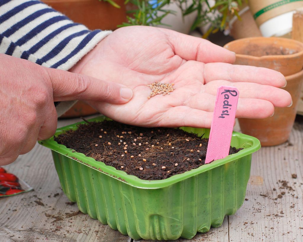 How Deep To Plant Seeds? One Tip To Get It Right Every Time | Gardening ...