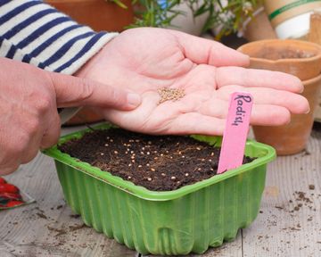 How Deep To Plant Seeds? One Tip To Get It Right Every Time | Gardening ...