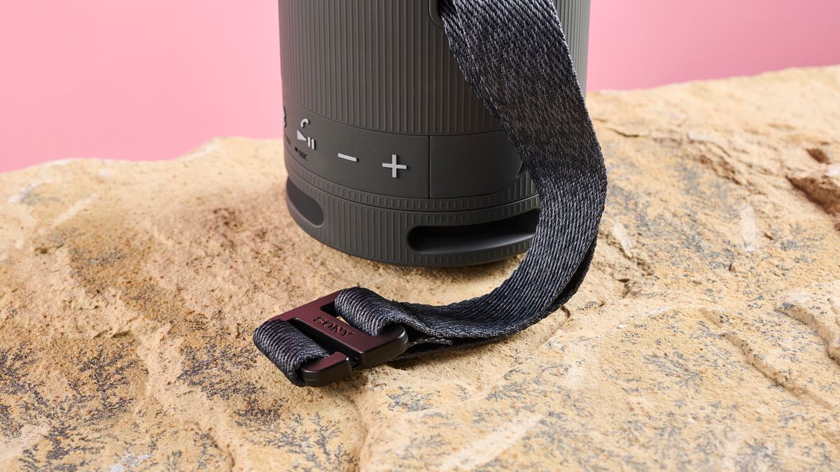 Sony SRS-XB100 review: a cheap Bluetooth speaker with good sound but ...