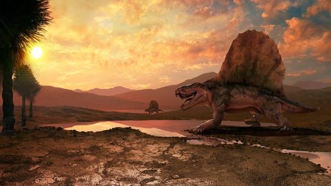 UV radiation pulse played a role in a mass extinction event, fossilized ...