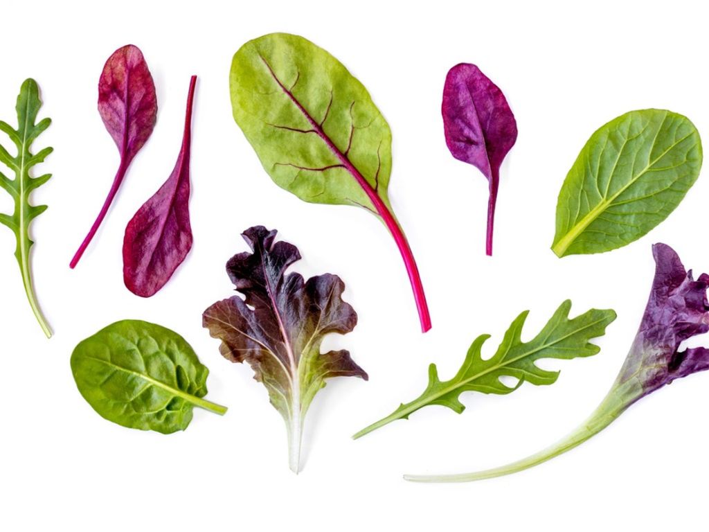 Tasty Lettuce Substitutes: What To Grow Instead Of Lettuce | Gardening ...