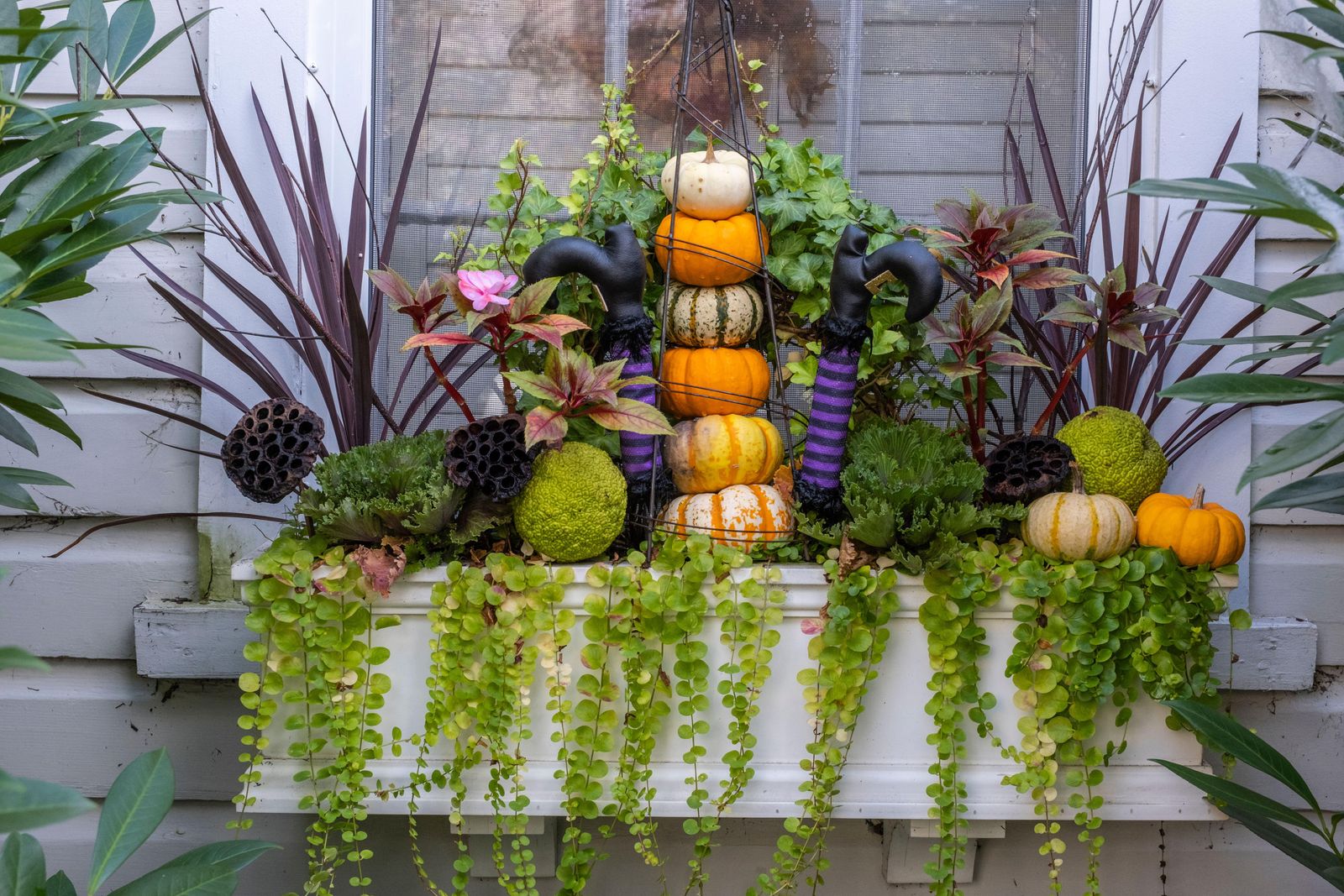 Fall planter ideas: 15 looks for stylish seasonal containers