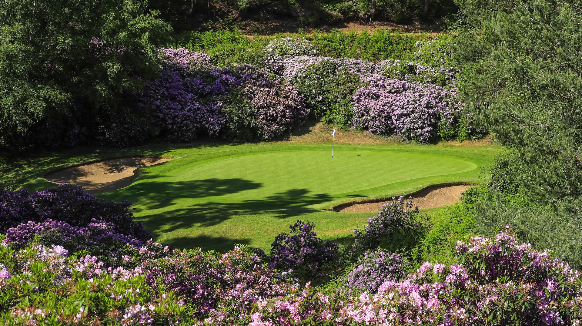 Woburn Golf Club Duke's Course Review, Tee Times and Key Info | Golf ...