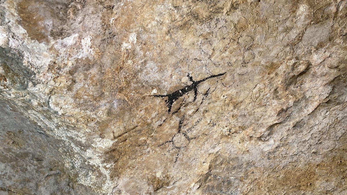 500-year-old lion drawing in Puerto Rican cave may have been made by an ...