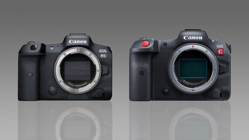 Canon EOS R5 vs R5 C: What are the differences and which 8K camera is ...