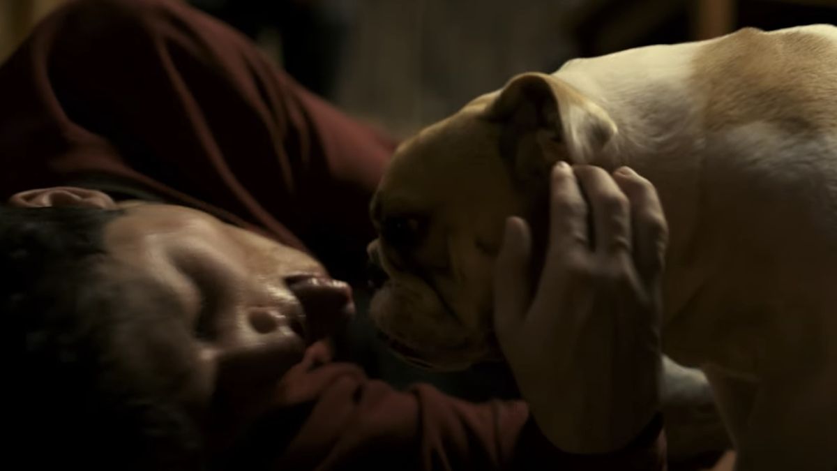 The Story Behind Talk To Me's Awkward Dog Make Out Scene: How'd They Do ...
