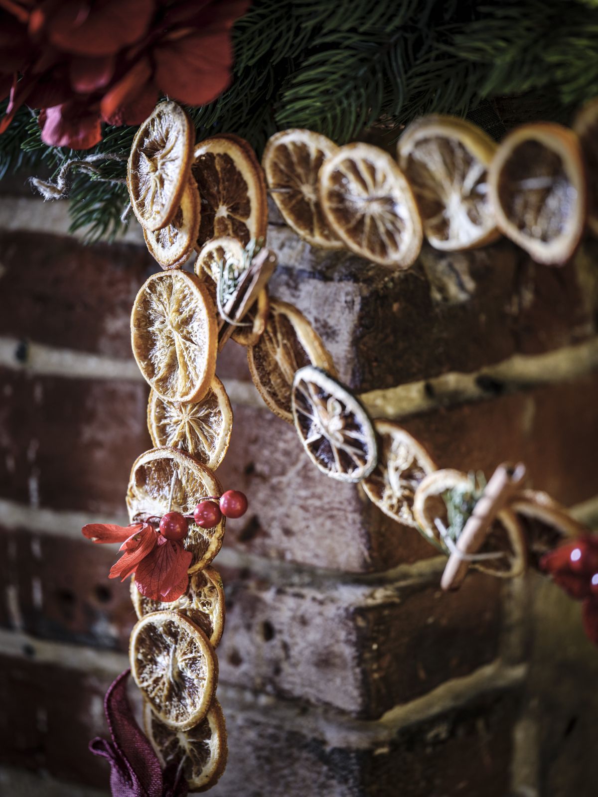 How to make a dried orange garland: easy steps for beginners | Homes ...
