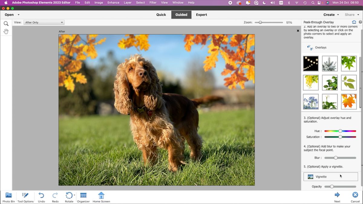 Adobe Photoshop Elements 2023 review | Digital Camera World