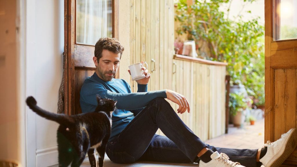 32 tips for training your cat | PetsRadar