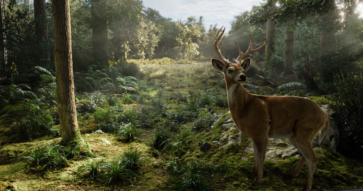 Making the subtle but spectacular VFX behind movie Here | Creative Bloq