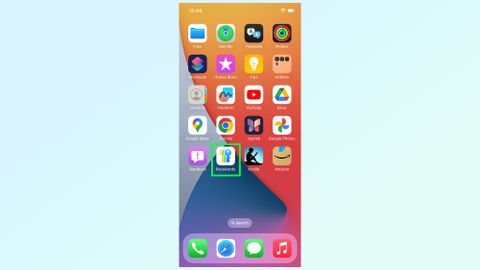 How to set up Passwords app in iOS 18 | Tom's Guide