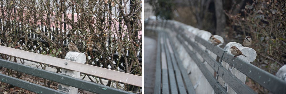 9 Common Photography Mistakes — And How to Fix Them | Tom's Guide