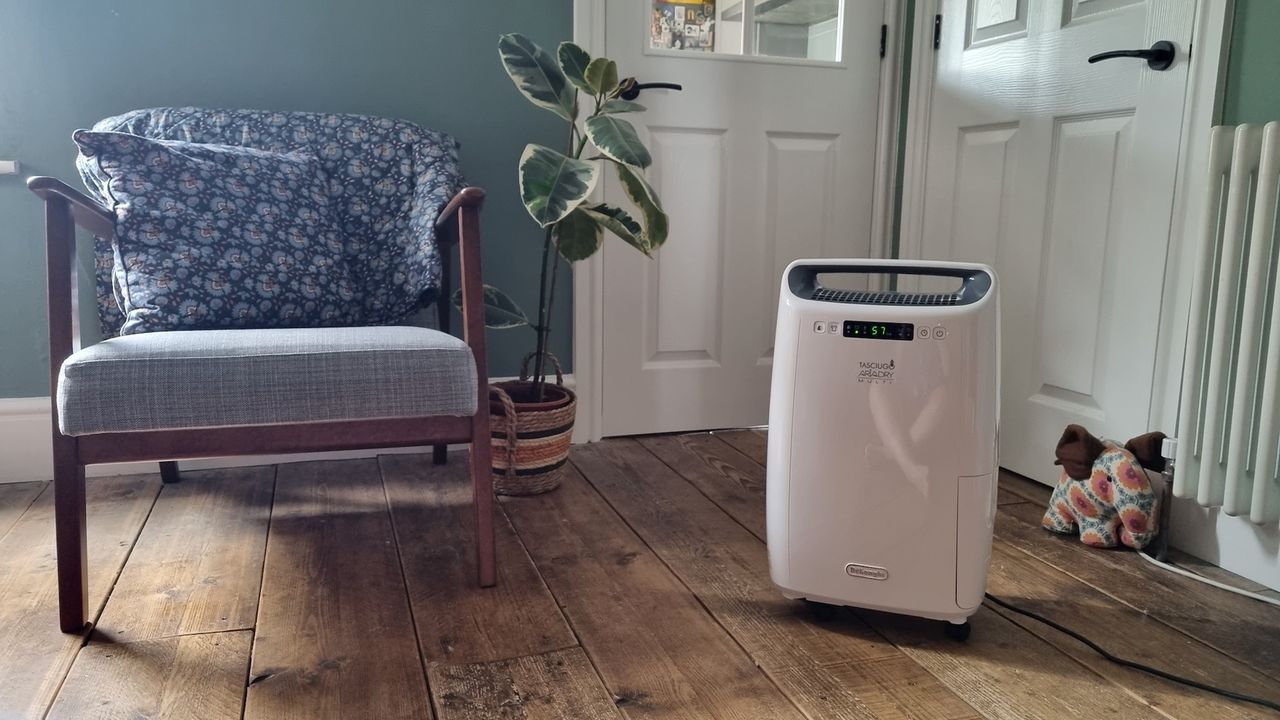 The best place to put a dehumidifier for maximum efficiency | Woman & Home