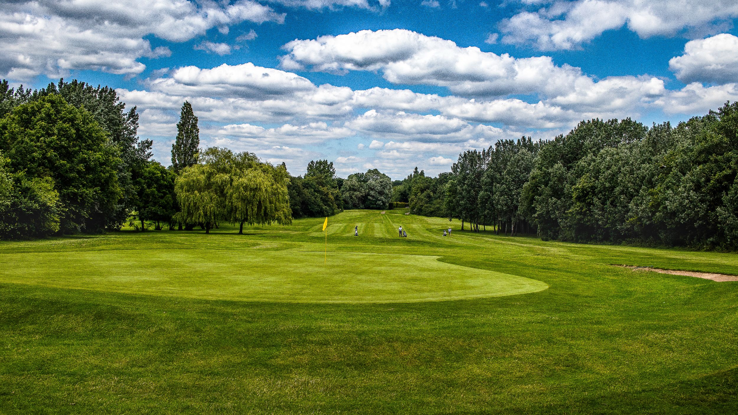 Greenpeace Takes Swipe At Golf, Hints Courses Could Be Put To 'Better ...