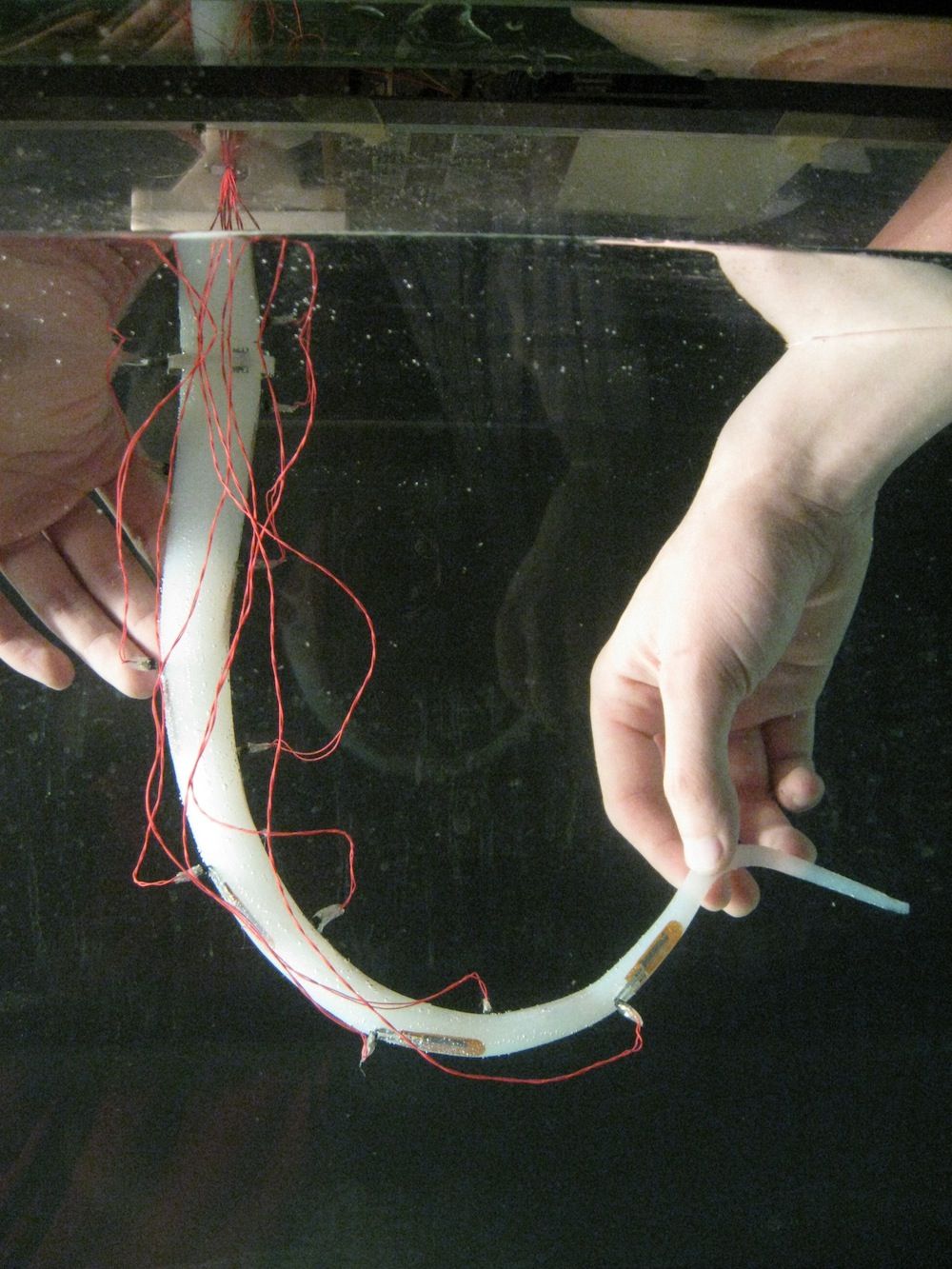 Photos: Amazing Tech Inspired by the Octopus | Live Science