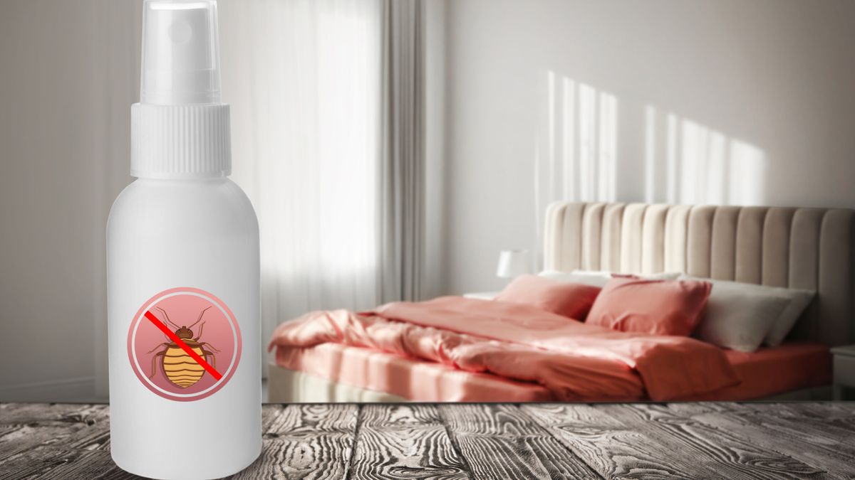 Dust mite and bed bug spray isn't safe for use on all mattresses — here ...