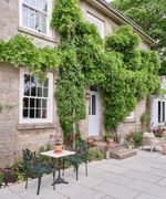 How to remove ivy from a house | Ideal Home