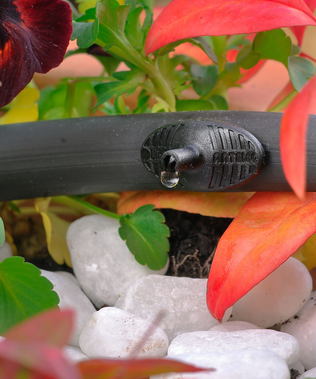 Drip irrigation systems: what are they and how do they work? | Gardeningetc