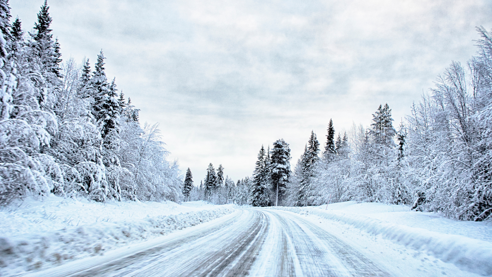 “It was more of an expedition than a race” – watch the moment a ...