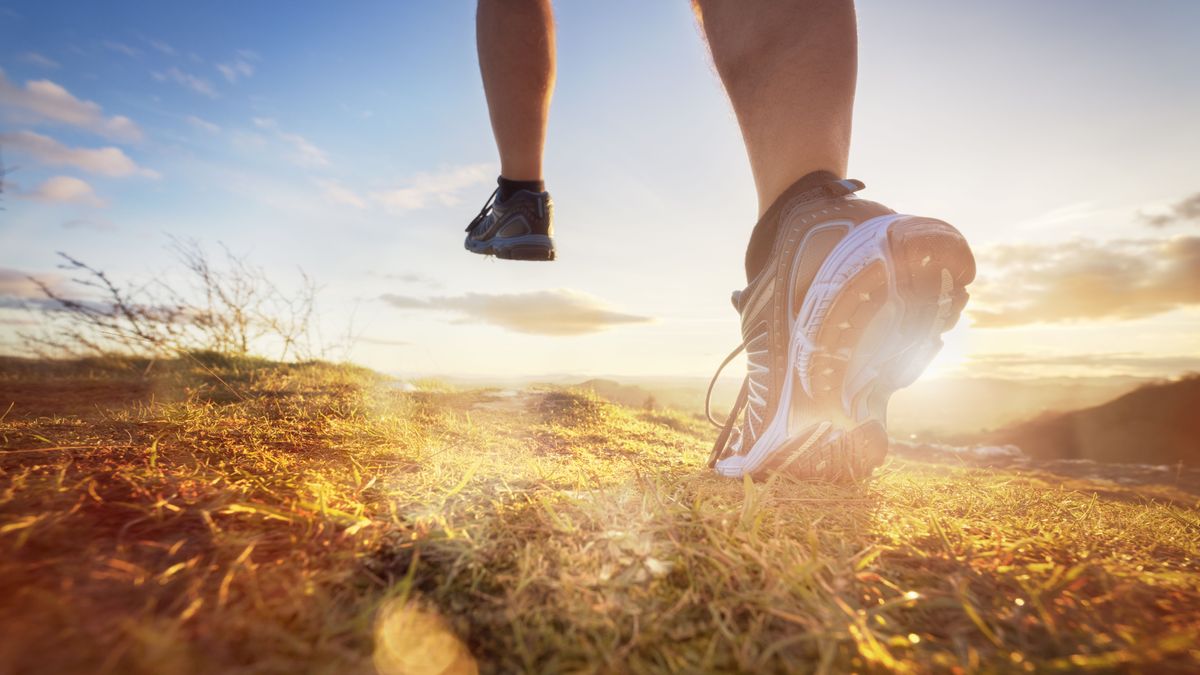 Conseils d'experts en course à pied d'un scientifique du sport