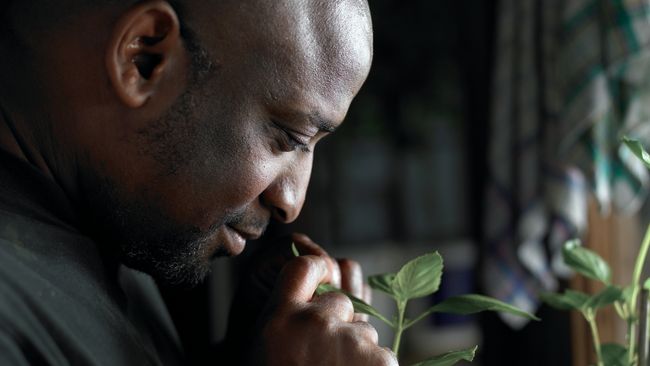 The five (and more) human senses | Live Science