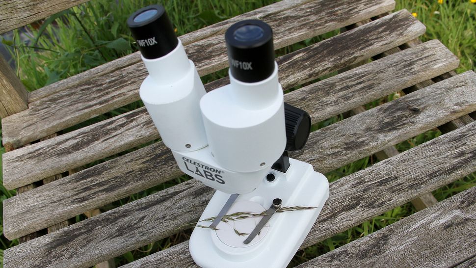 The best microscopes in 2025 | Digital Camera World