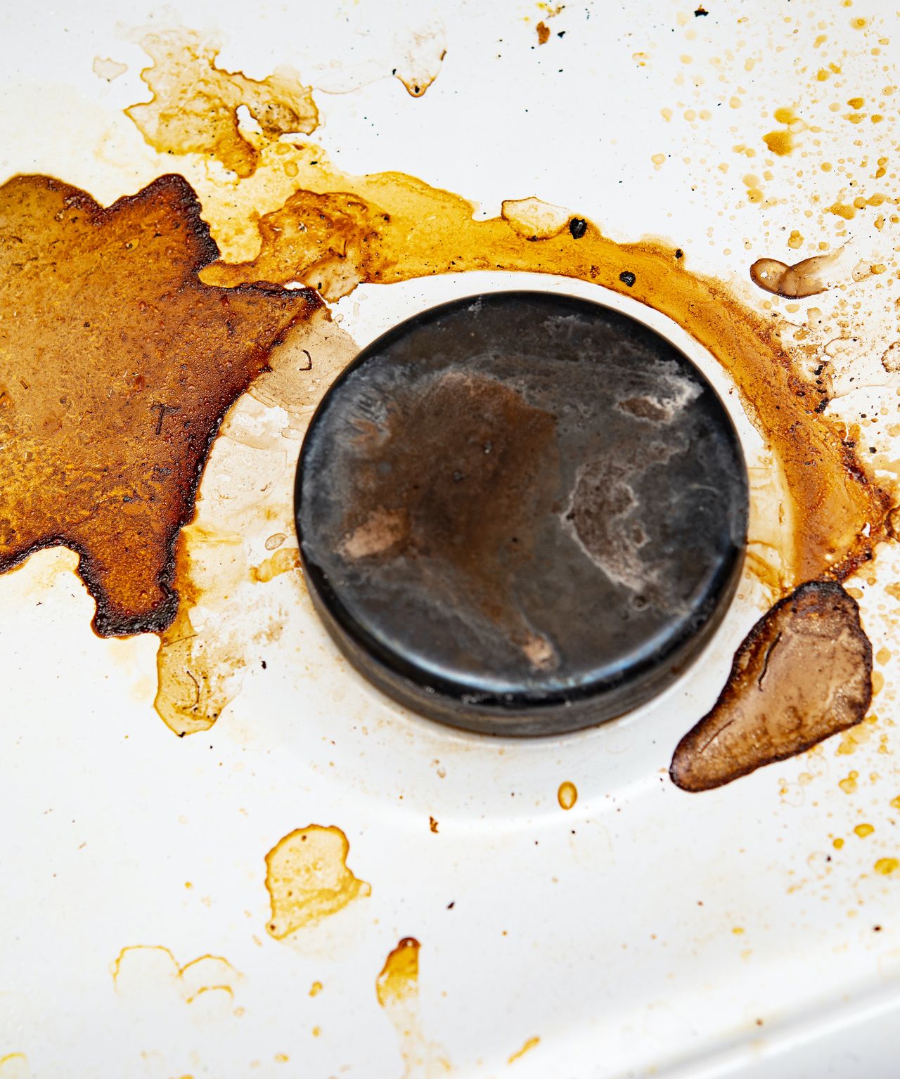 Why do ants come in the house? Pest pros reveal the reasons | Real Homes