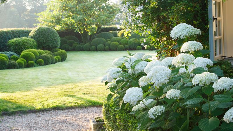 Articles by Jennifer Ebert, Editor | Homes and Gardens