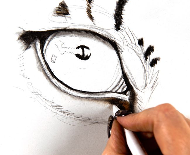 How to illustrate animal eyes | Creative Bloq