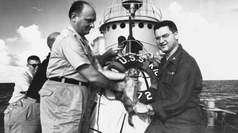 Able and Baker: The First Primates to Survive Spaceflight in Photos | Space