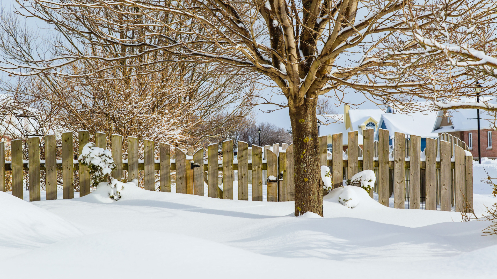 Expert reveals the 7 garden items you should never keep outside over ...