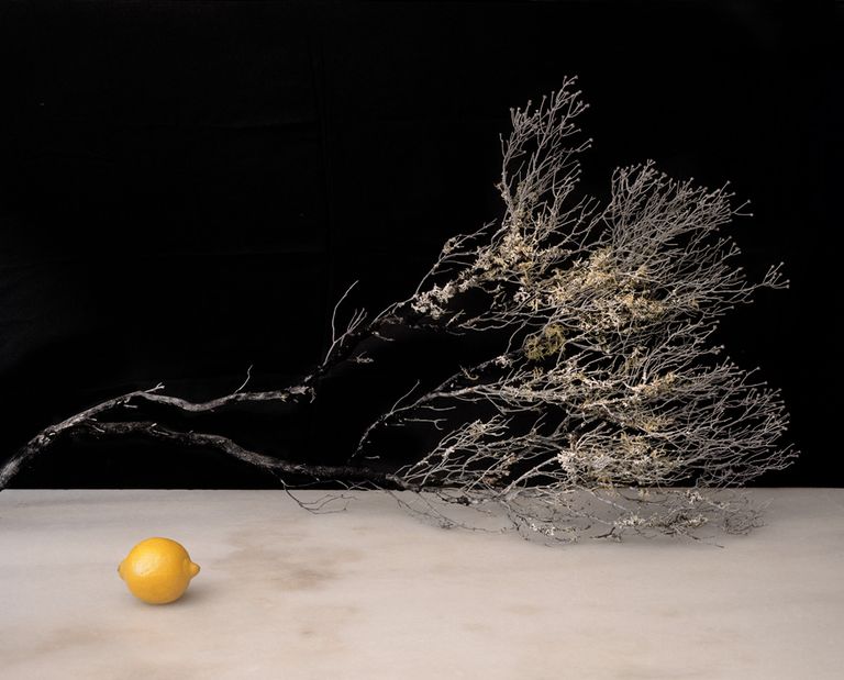 Visual Communication | Wallpaper*